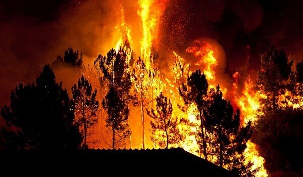 How to Prevent Wildfire Damage to Your Home